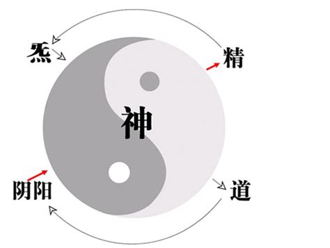为什么中医养生要强调动静结合 中医锦囊