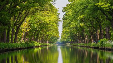 Расслабляющая музыка исцеляющая от стресса беспокойства и депрессивных состояний исцеляет 9