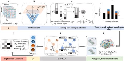 Xgw Gat A Input Functional Connectomes B Extract Pairwise Download Scientific Diagram