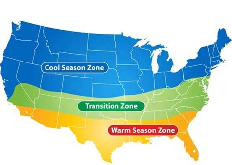 Tall Fescue The Complete Guide Ng Turf Premium Sod Supplier