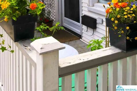 Best Landscaping Ideas To Block Neighbors With Photos