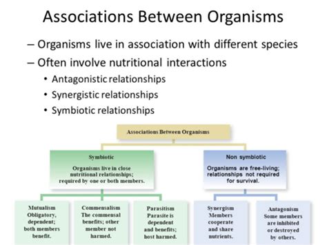 Micro Ch7 Flashcards Quizlet Micro Ch7 Flashcards Quizlet