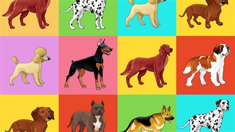 Artificialintelligence What Is Classification