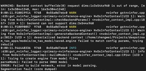 launching customized etlt model on jetson deepstream sdk nvidia