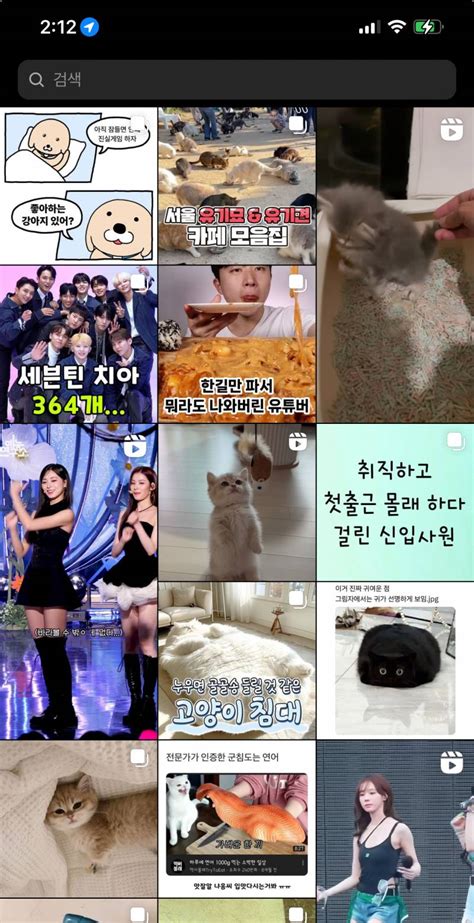 [잡담] 다들 인스타 돋보기 누르면 뭐나와 인스티즈 Instiz 일상 카테고리