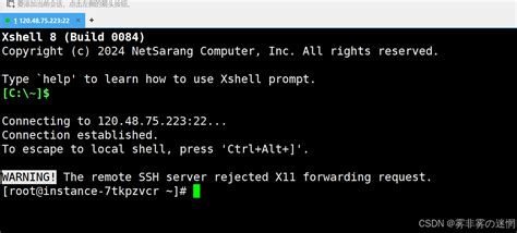《linux 基础指令实战：新手入门的命令行操作核心教程（第一篇）》 Csdn博客