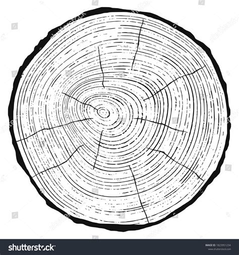 Log Cut Vector Illustration Tree Rings Stock Vector Royalty Free 1823951234 Shutterstock