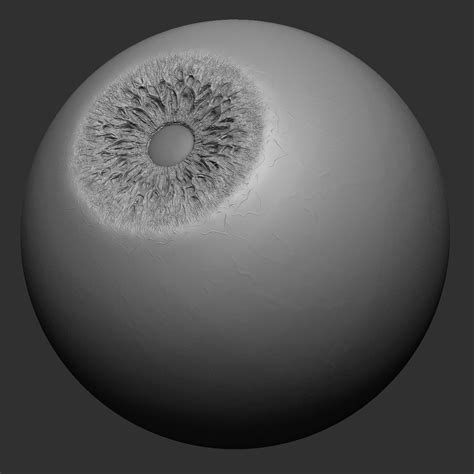 눈 현실적인 색 3d 모델 70 Ztl Free3d