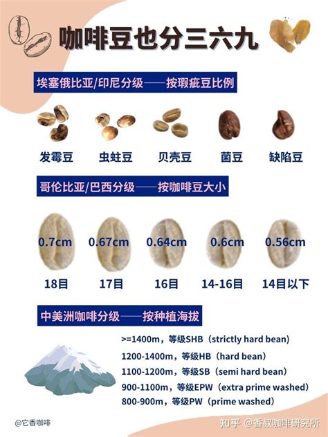 硬干货时间三种咖啡豆分级介绍 知乎