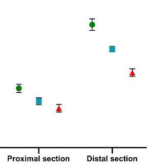 Cell Size In A Different Section Results Shown Cell Size Mean With SEM Download Scientific