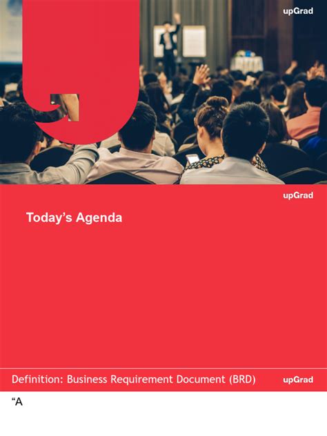ba documentation pdf project management usability