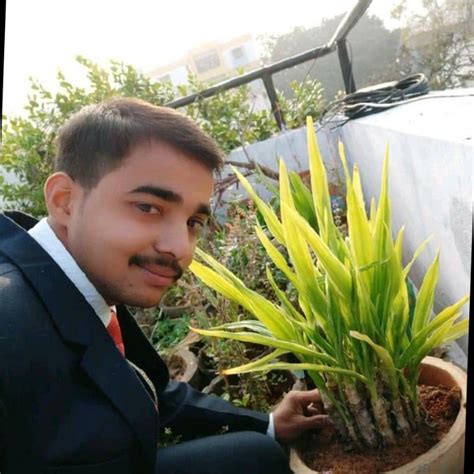 Punna Pavan Kumar Tekvibe Inc Linkedin Punna Pavan Kumar