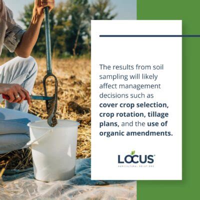 Soil Sampling Understanding Its Importance Methods Locus AG