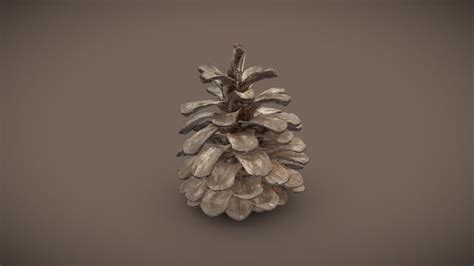 Plant A 3d Model Collection By Hypercube Hypercube3dscan Sketchfab