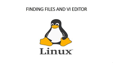 Finding Files And Vi Editor Linux Youtube