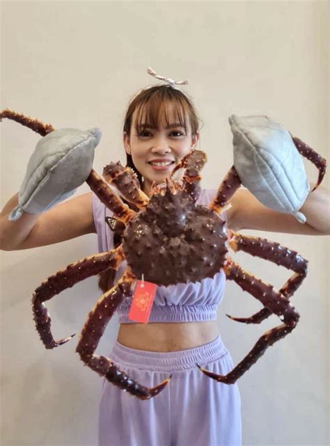 เรื่อง ปูอลาสก้า กุ้งล็อบสเตอร์ ร้านน้องไออุ่นทะเลยักษ์