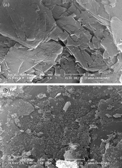 Magnified Sem Micrographs Of A Pristine And B 10 Nano Si Coated