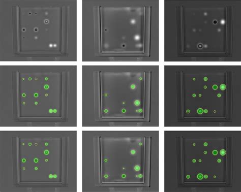 Visualization Of Segmentation Results The Green Mask Represents The Download Scientific