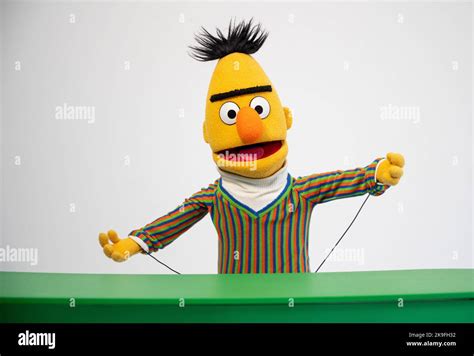 Hamburg Germany 24th Oct 2022 The Character Bert From Sesame Street