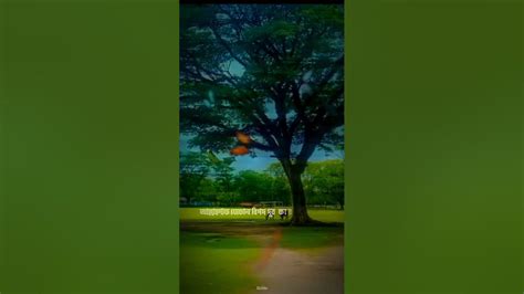 দোয়া ইউনুস পড়ার ফজিলত। Shorts Short Hadis Tiktok Islamic Video Waz Surah সব Youtube