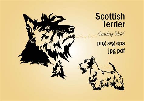 Scottish Terrier Vector At Collection Of Scottish