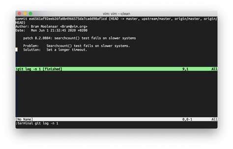 Terminal Isnt Colored When Termguicolors Is On · Issue 6186 · Vimvim · Github