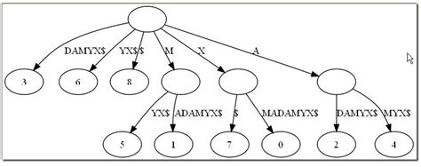 后缀树详解与应用 Csdn博客