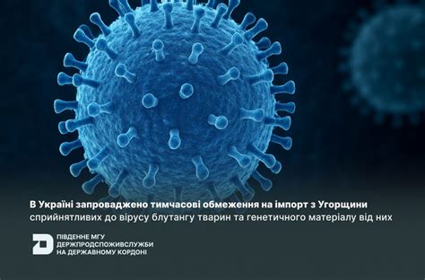 В Україні запроваджено тимчасові обмеження на імпорт з Угорщини сприйнятливих до вірусу блутангу