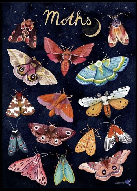 Pin By Ivonne Rojas On Tatuajes Insect Art Moth Art Art Inspiration