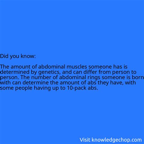 Neurotransmitters 🥷 Knowledge Ninja