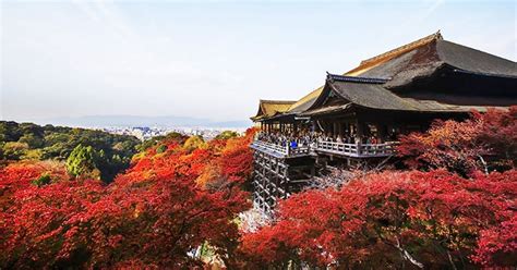 교원투어 여행이지 일본 여행상품 라인업 강화