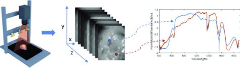 Hs Data Acquisition And Hs Data The Tissue Samples Were Imaged