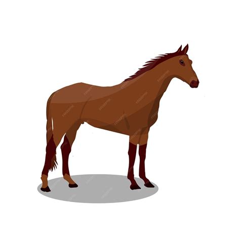 Premium Vector Horse Cartoon Vector Illustration On White Background