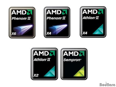 AMD 소켓 AM3 프로세서는 내년 2분기까지 데스크탑 CPU 시장 유지:: 보드나라