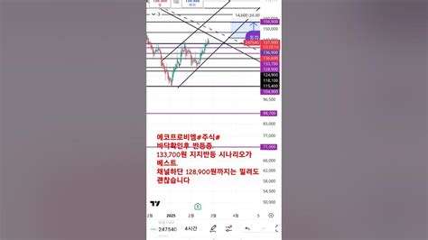 에코프로비엠주식 바닥 확인후 반등중 Youtube