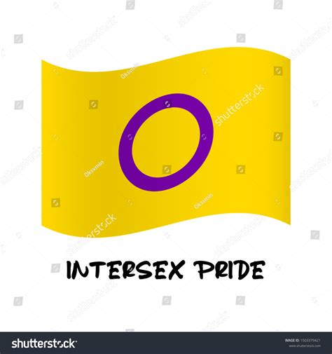 Intersex Pride Flag Background Equality Flag Stock Vector Royalty Free