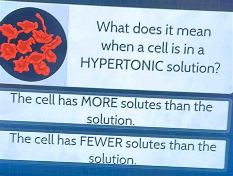 Solved What Does It Mean When A Cell Is In A Hypertonic Solution The Cell Has More Solutes
