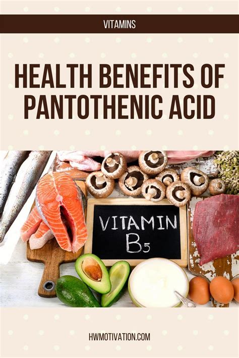 Pantothenic Acid Artofit