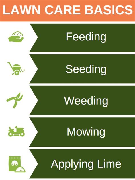 How And When To Apply Lime To Lawn Does My Lawn Need Lime Lawn Care