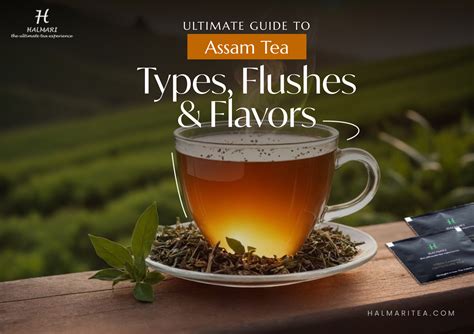 Top 12 Indian Tea Brands Ranked For Quality And Taste 2026