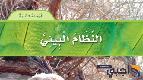 نموذج اختبار علوم ثالث ابتدائي الفصل الاول 1446 مع الحل