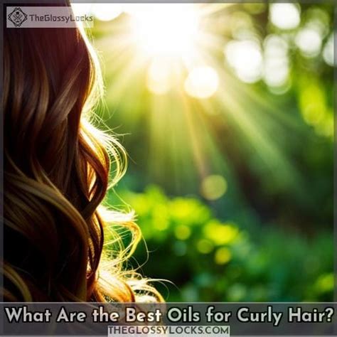 How Often To Oil Curly Hair Tips And Techniques