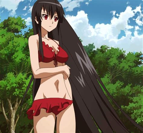 Akame Ga Kill