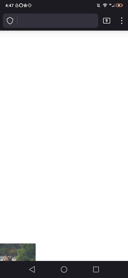 Html Web Page Content Obscured By Android Soft Buttons Css Solution Stack Overflow