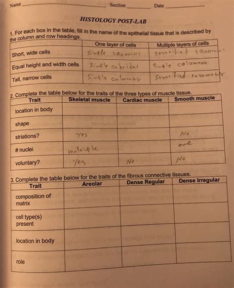 Solved Name Date Section Histology Post Lab For Each Box In