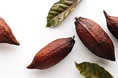 Premium Photo Cocoa Pod