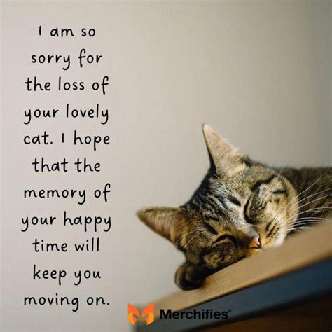 53 Thoughtful Sympathy Messages For The Loss Of A Pet Merchifies