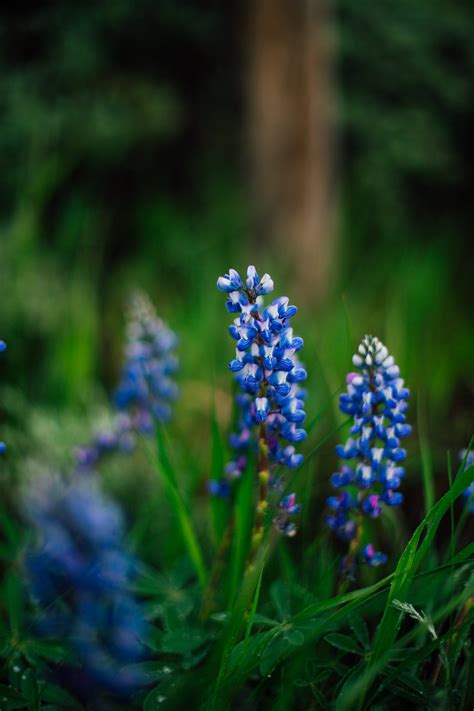 C Lazy U Ranch Meegan Dobson Photography