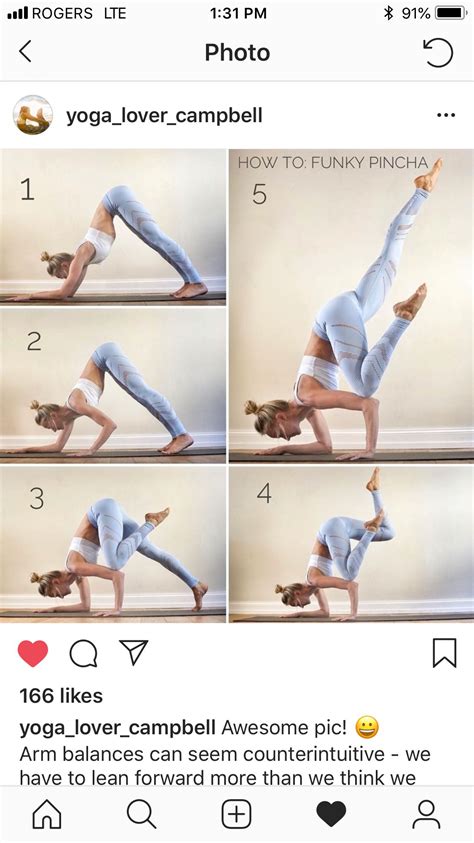 Dolphin Pose For Beginners Artofit