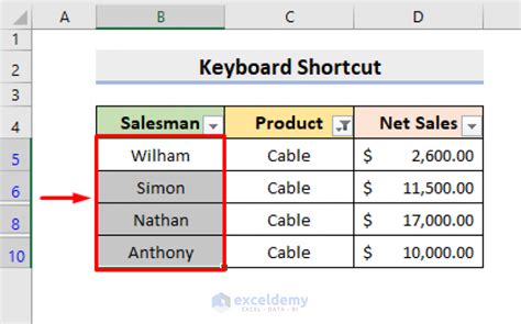 How To Copy And Paste In Excel When Filter Is On 5 Methods